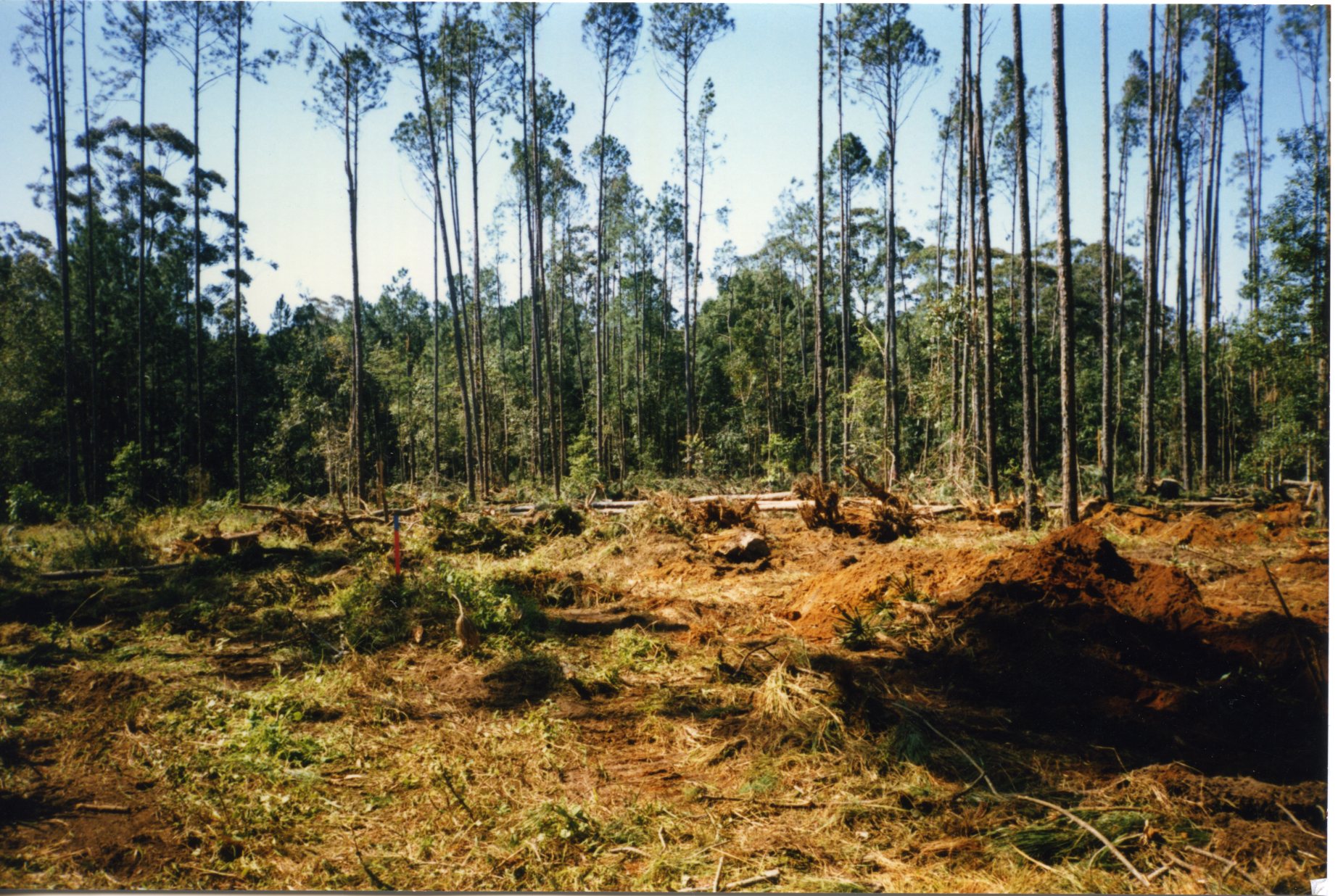 Interview with Rod Forrester, Foundation Chair – Matthew Flinders ...