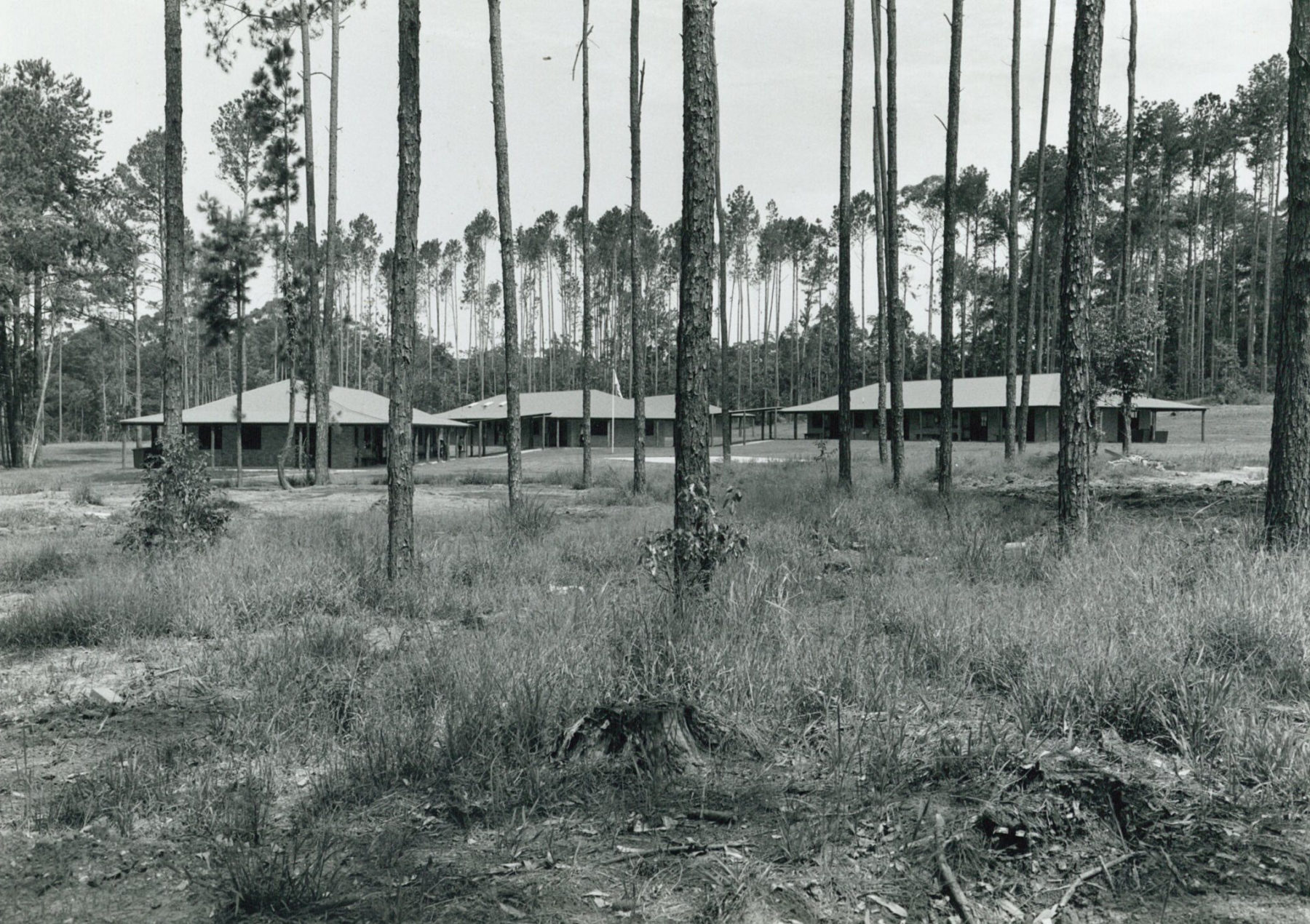 Interview with Rod Forrester, Foundation Chair – Matthew Flinders ...